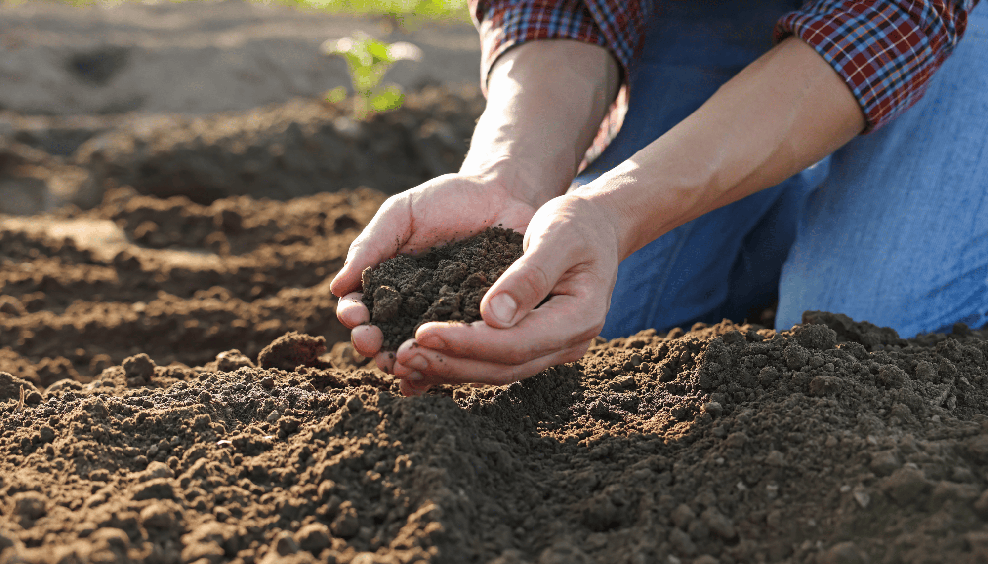 Spring Soil Preparation the Regenerative Way with GreenGro – GreenGro ...