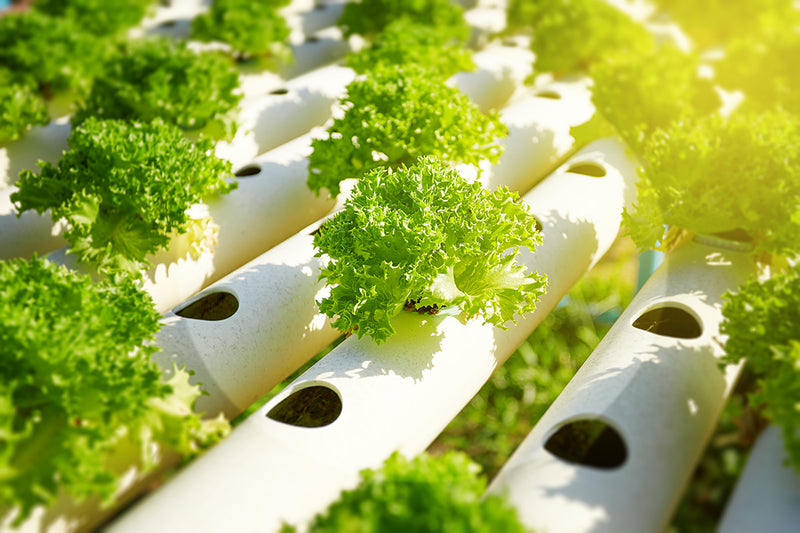 GreenGro Biologicals
