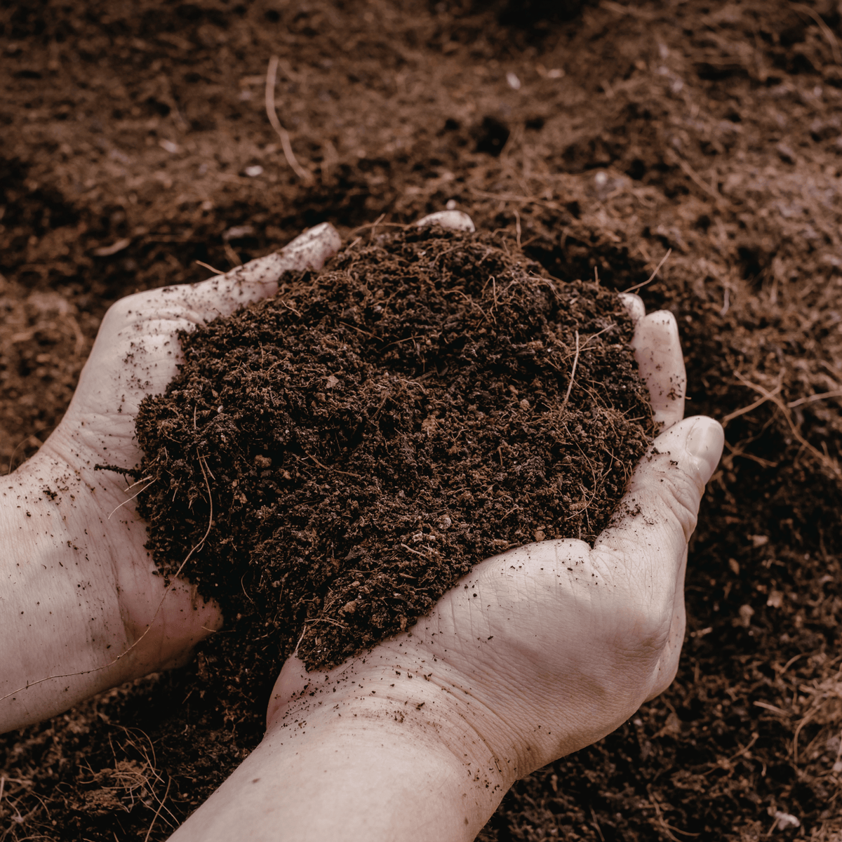 Premium Organic Soil and Fertilizers - GreenGro Biologicals