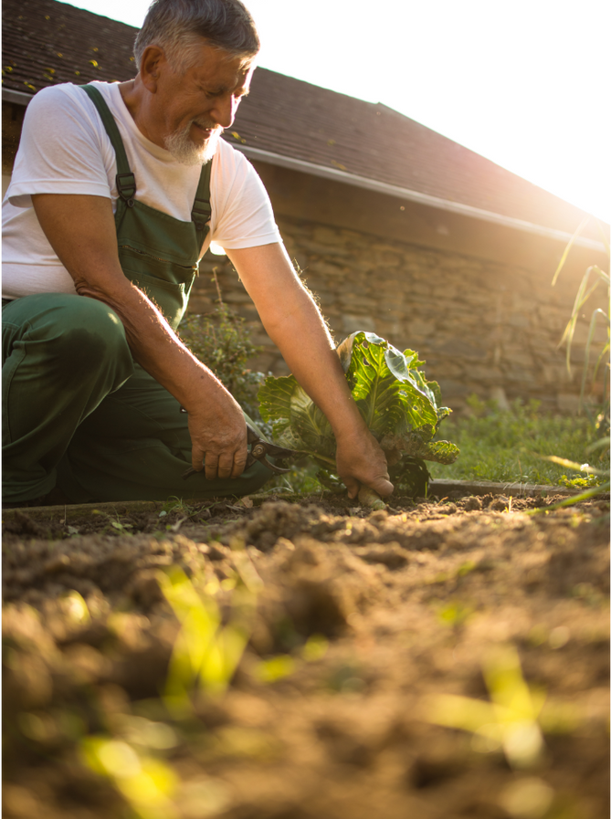 Premium Organic Soil and Fertilizers - GreenGro Biologicals
