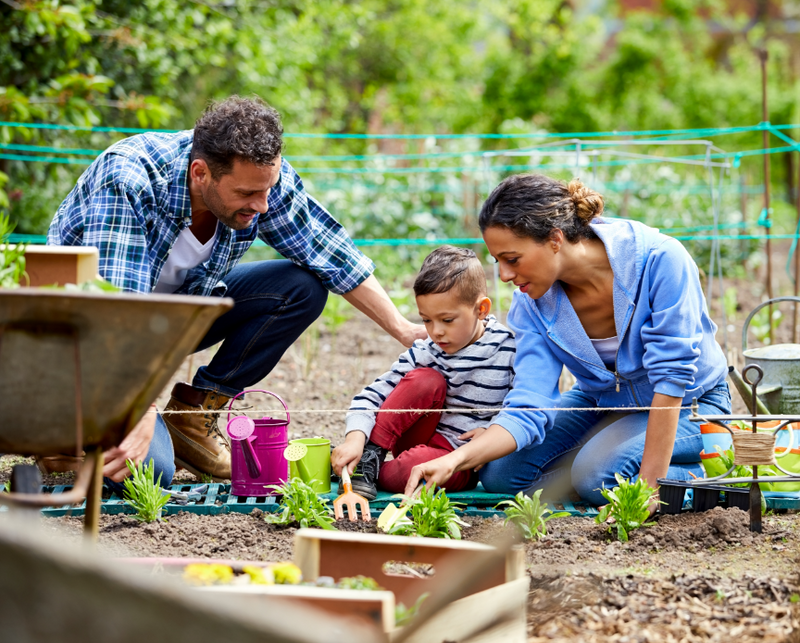 Premium Organic Soil and Fertilizers - GreenGro Biologicals