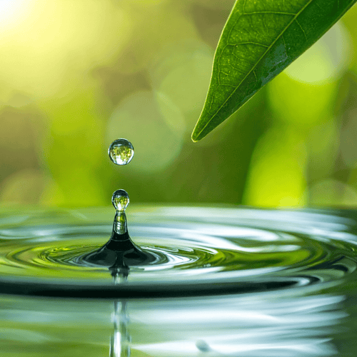 Premium Organic Soil and Fertilizers - GreenGro Biologicals