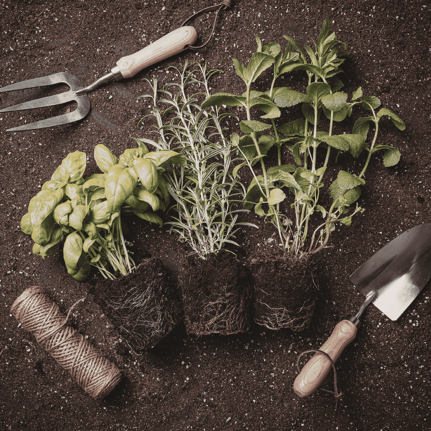 Premium Organic Soil and Fertilizers - GreenGro Biologicals